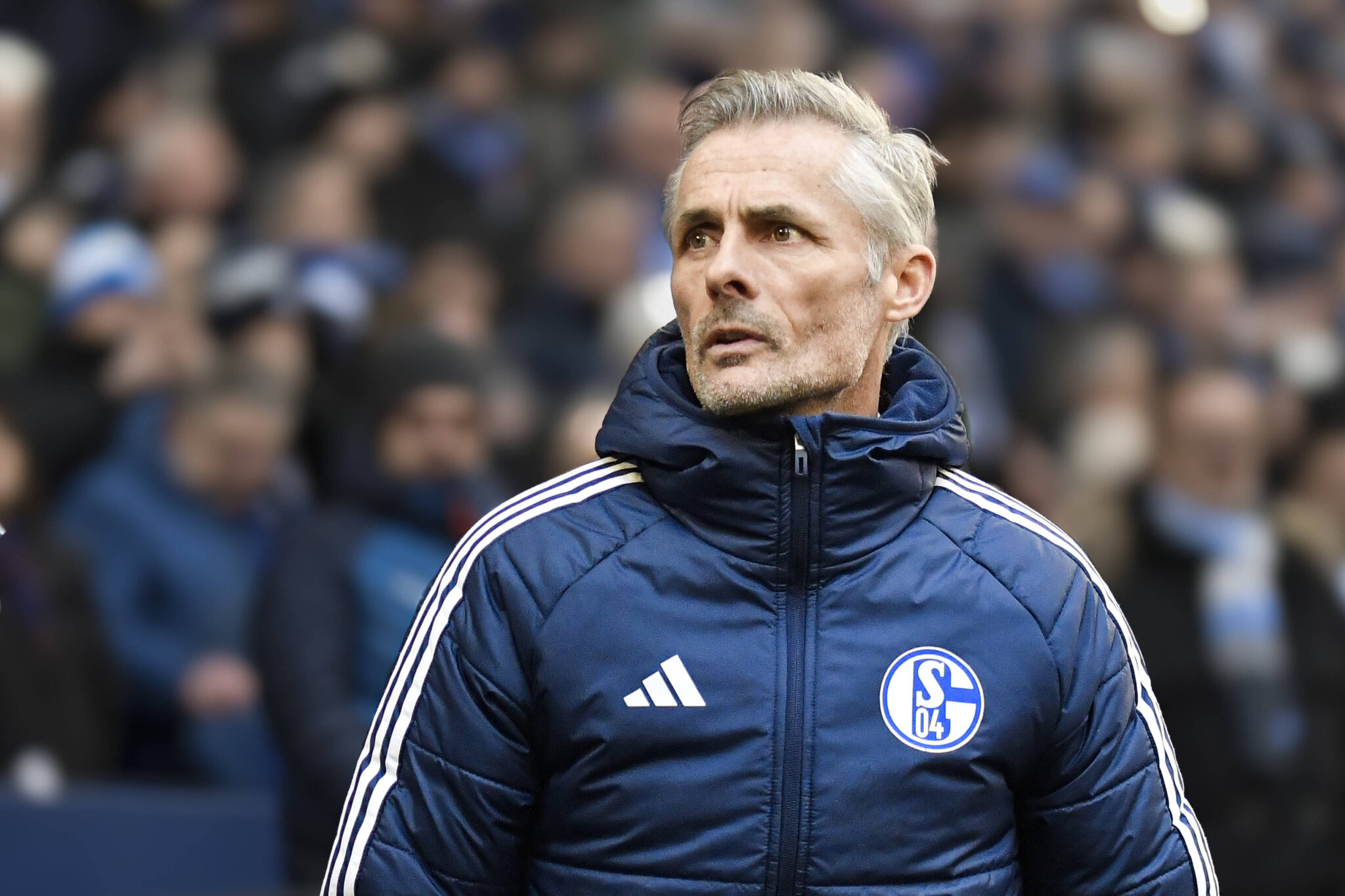 Zukunft ungewiss: Bleibt van Wonderen Schalke-Trainer?